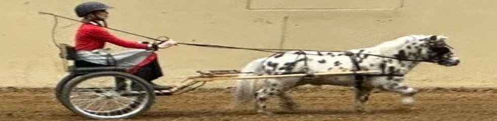 Home [www.sacrao.org]